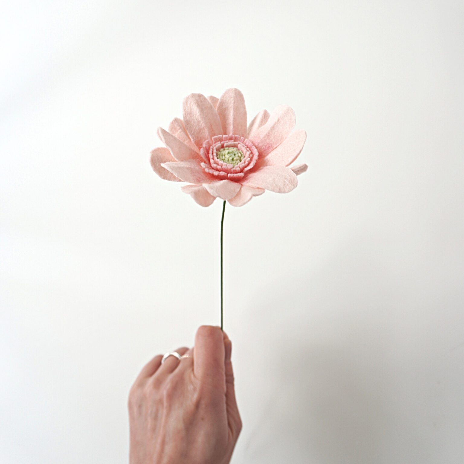 Spring & Summer Archives - The Tsubaki