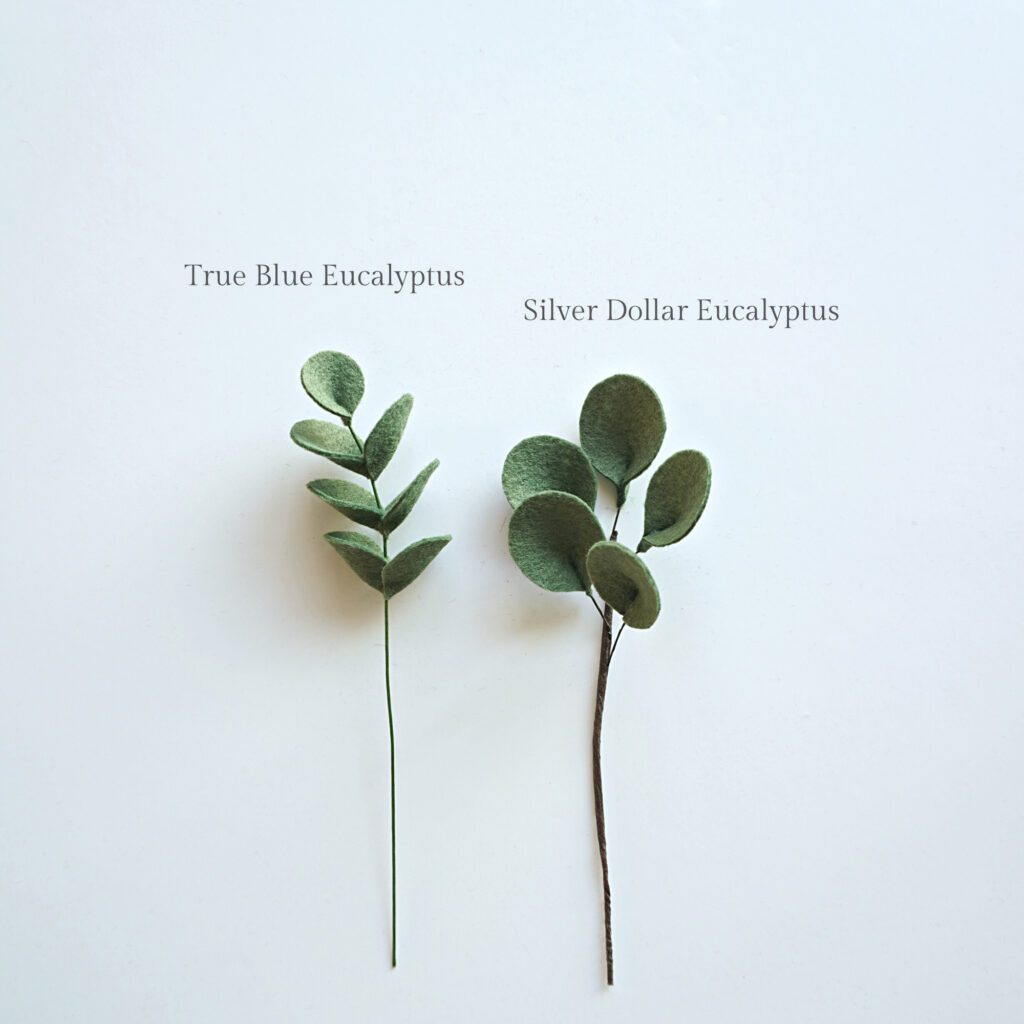 Mini Eucalyptus Blue Green Single Stem - The Tsubaki