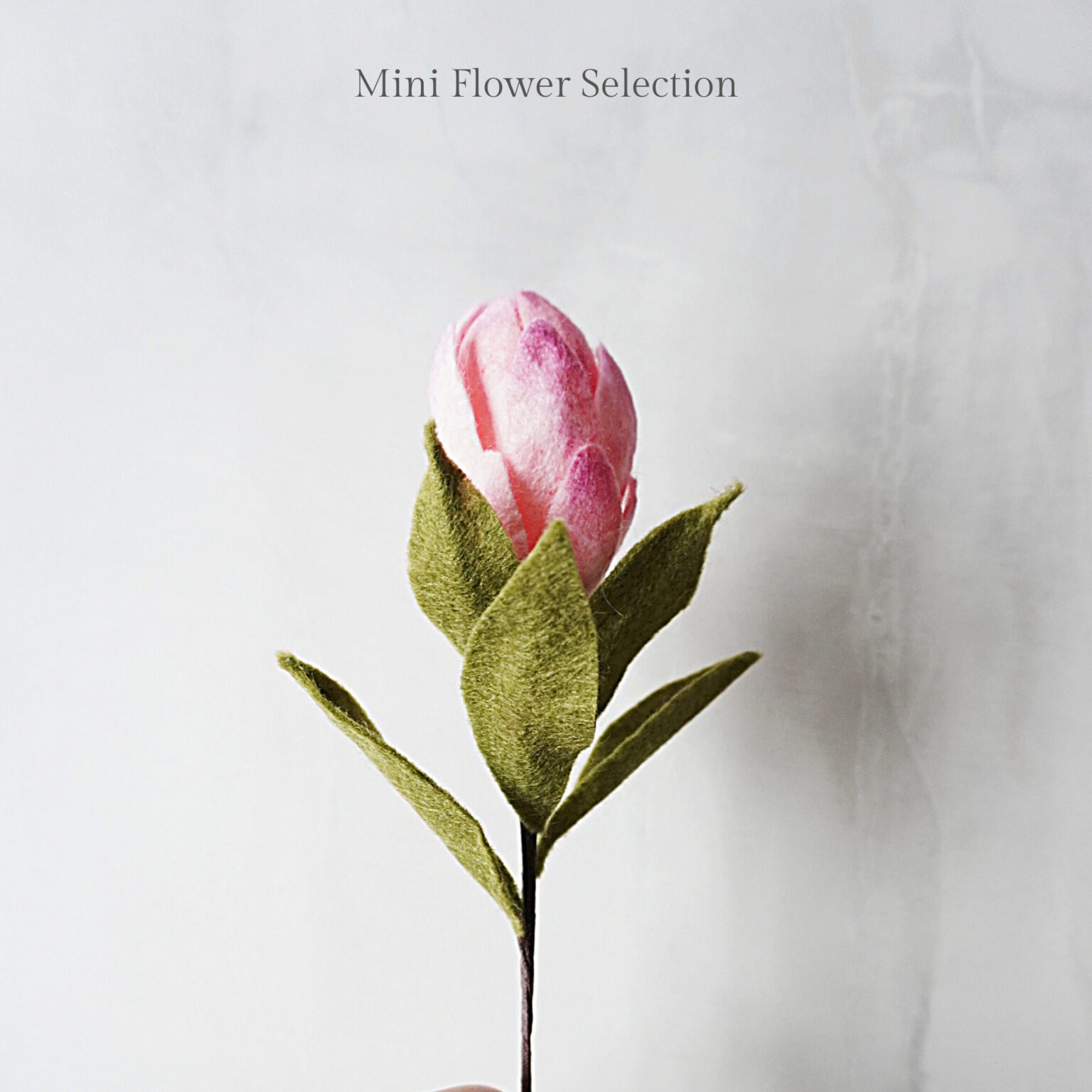 Mini Protea Tropical Flower Single Stem - The Tsubaki